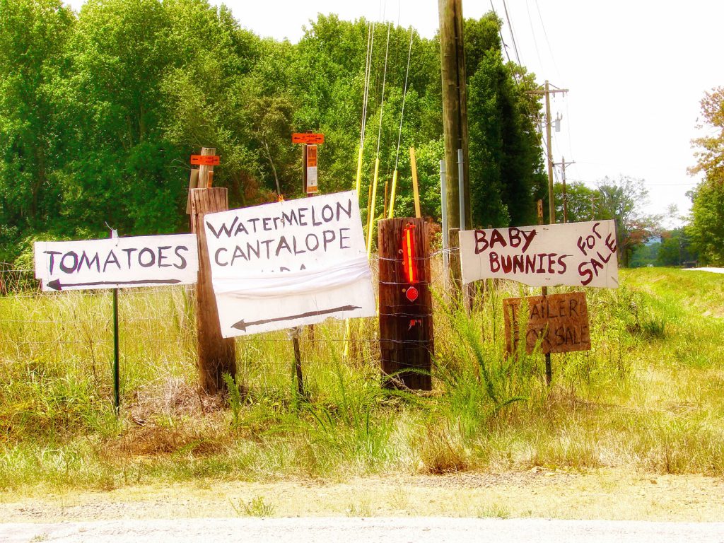 20 Things to Know About Southerners